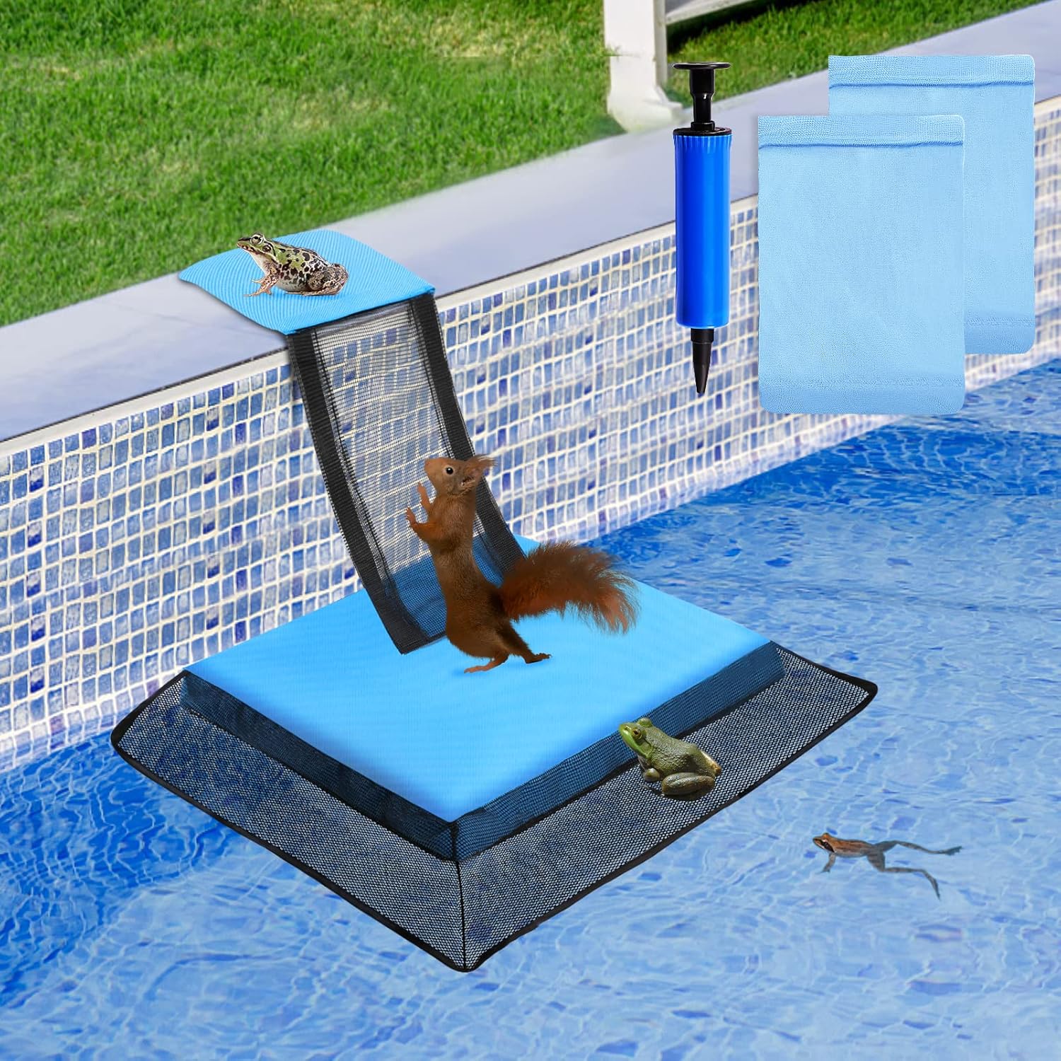 PEEH Animal Saving Escape Ramp, Frog Saver for Swimming Pool Rescue ...