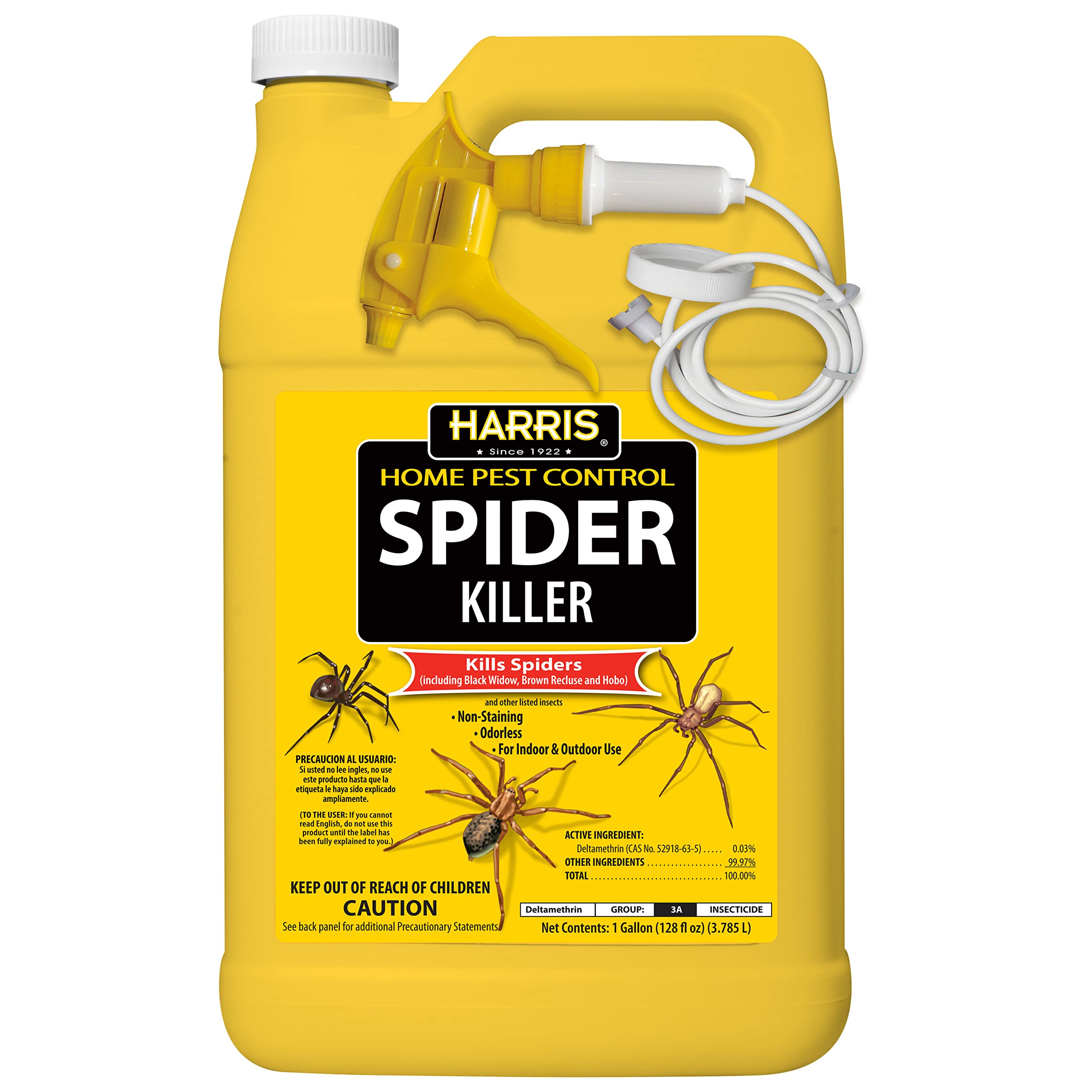 Snapklik.com : Harris Spider Killer, Liquid Spray