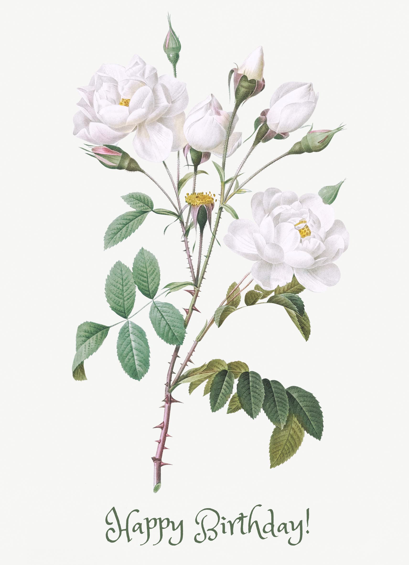 Happy Birthday White Roses