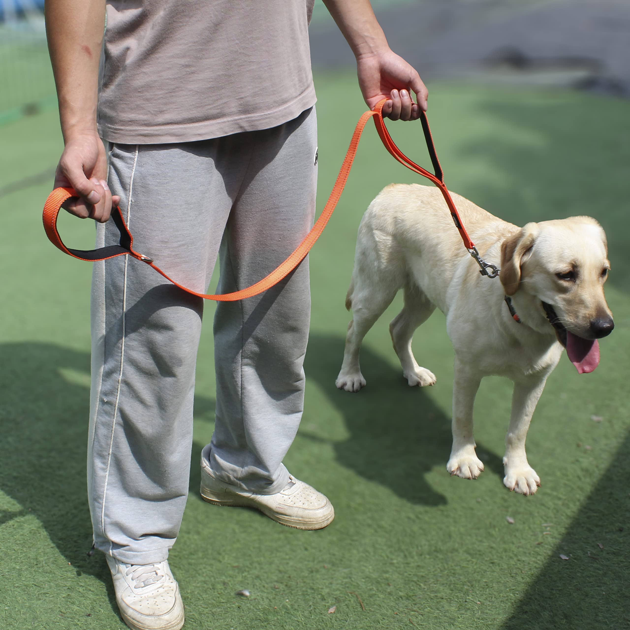 The Instant Trainer Leash Dogs Walking Training Harness Leash Leader ...
