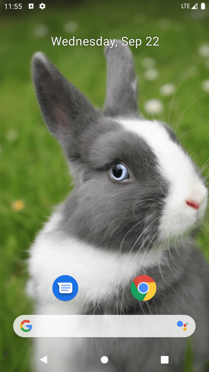 Cute Baby Rabbit Wallpapers For Desktop