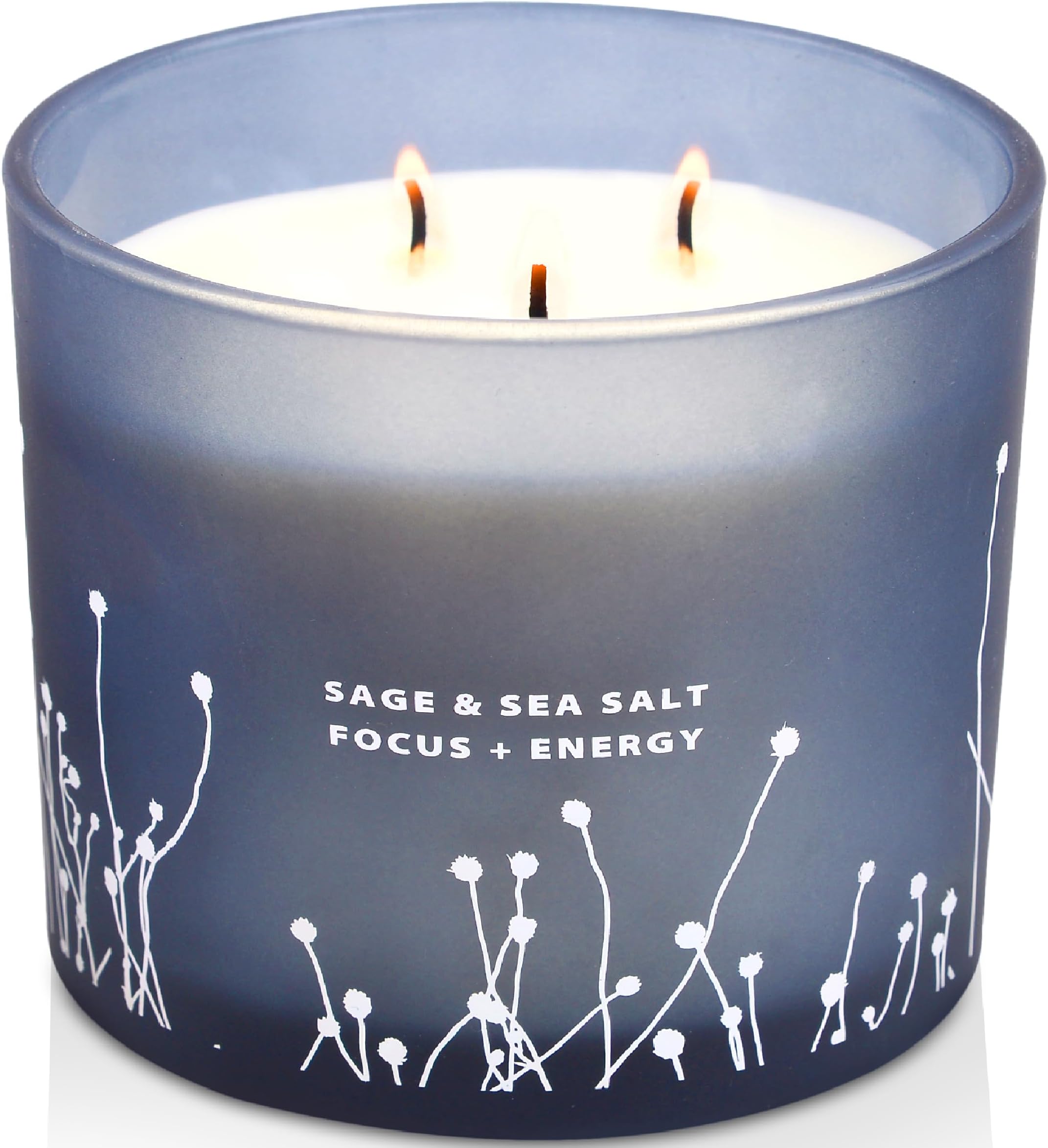 Amazon.com: White Sage Sea Salt 3 Wick Candle Large 14.5 oz | Sage ...