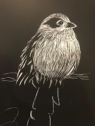 Amazon.com: Melissa & Doug Scratch Art Scratchboard - Black Coated 12 ...