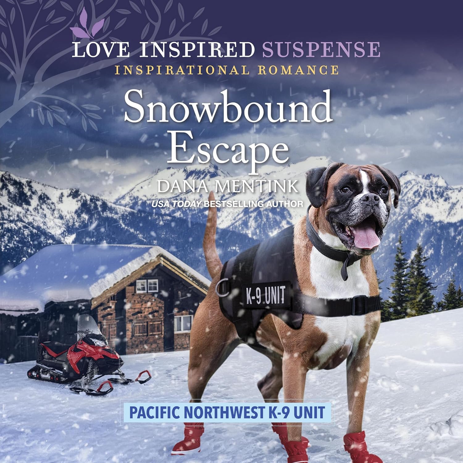 Snowbound Escape (The Pacific Northwest K-9 Unit Miniseries): Dana ...