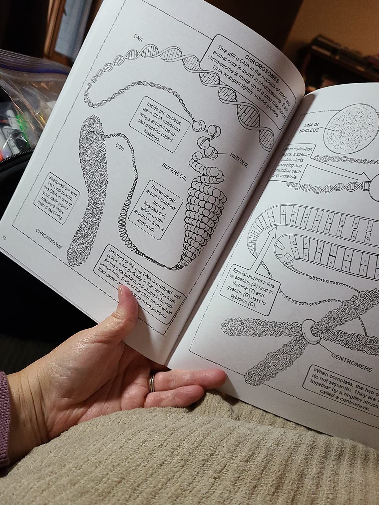 My First Book About Genetics (Dover Science For Kids Coloring Books ...