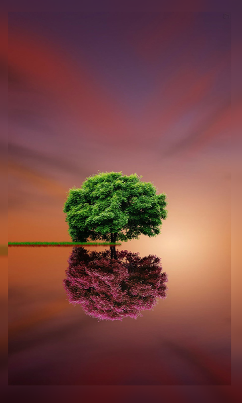 4K Tree Wallpaper - Aplicativo na Amazon Appstore