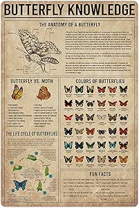 Amazon.com : Butterfly Knowledge Metal Tin Signs Butterfly Information ...