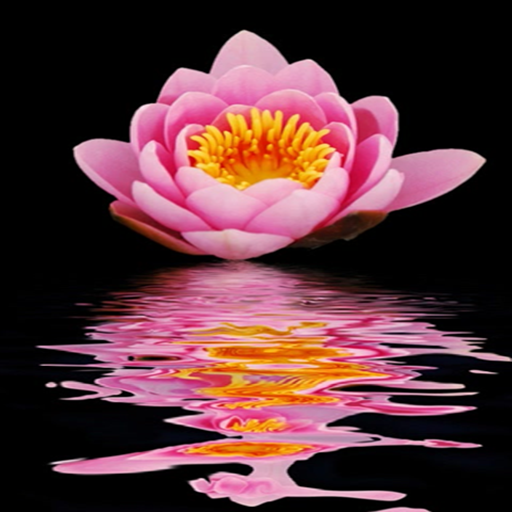 Hindu Lotus Flower Wallpaper