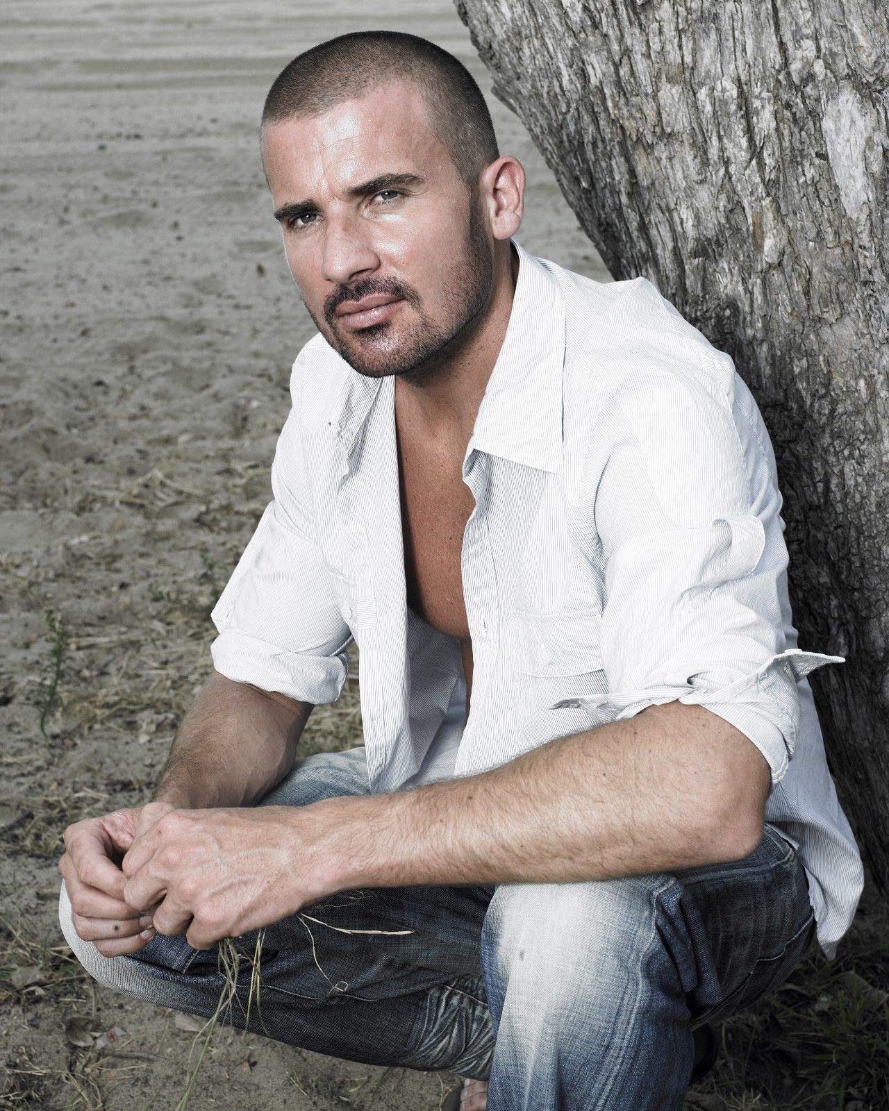 Dominic Purcell With Hair