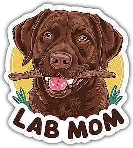 Amazon.com: Chocolate Labrador Retriever Sticker Chocolate Labrador ...
