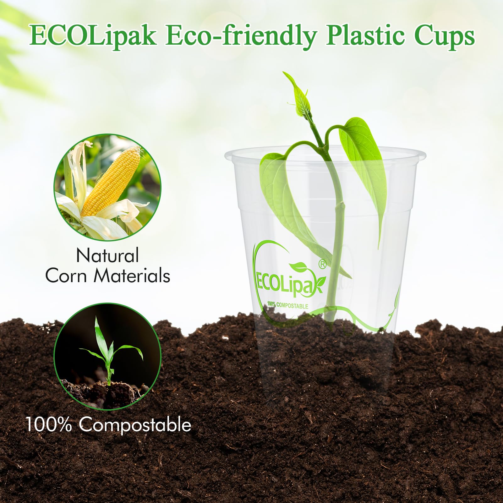Snapklik.com : 1000 Count 9 OZ Clear Compostable Plastic Cups ...