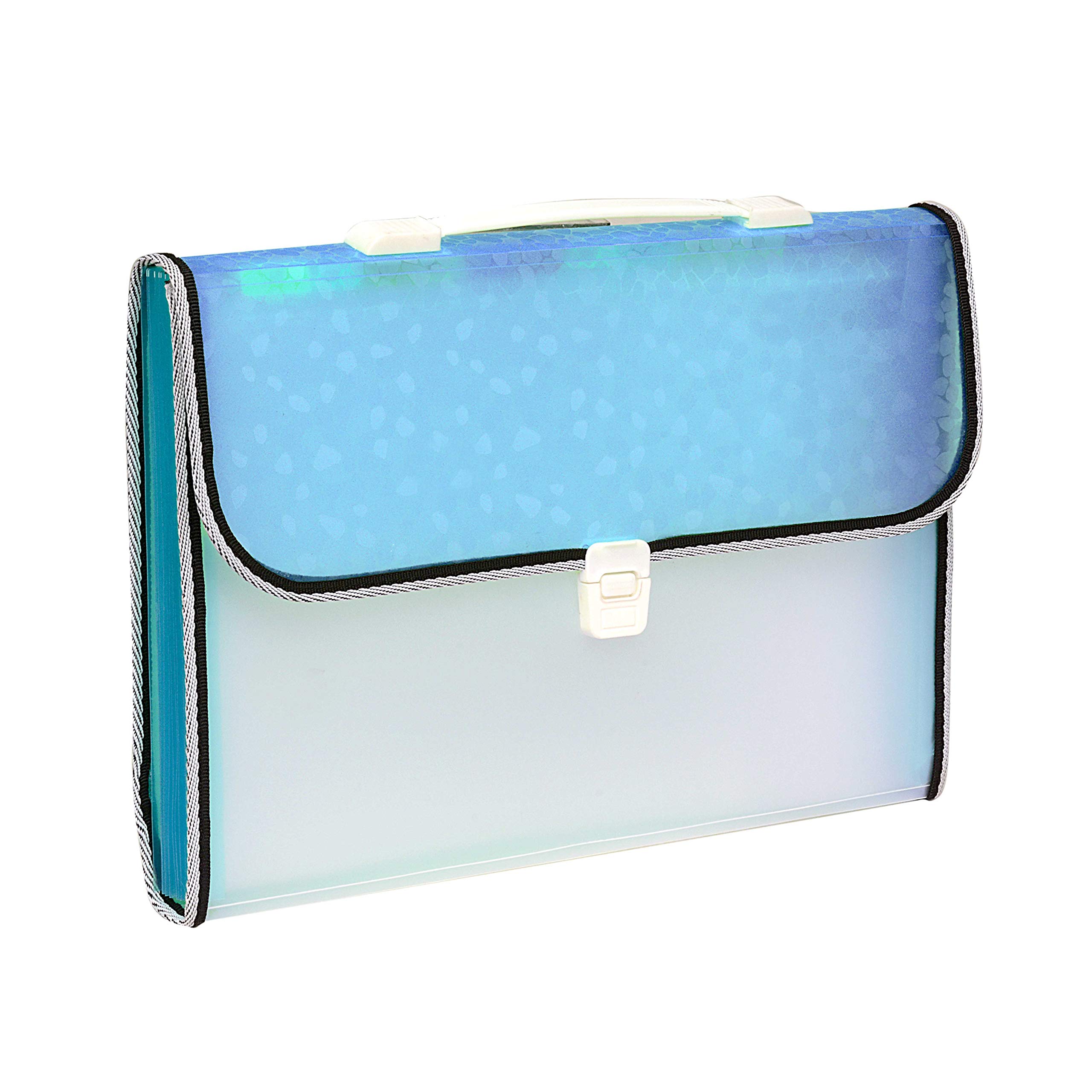 ZesTale Document Holder Envelope Folder,File Storage Bag with Snap ...