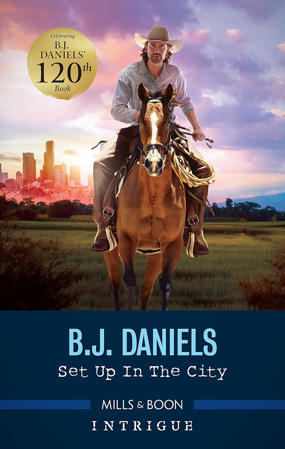 Set Up in the City (A Colt Brothers Investigation Book 4) eBook ...