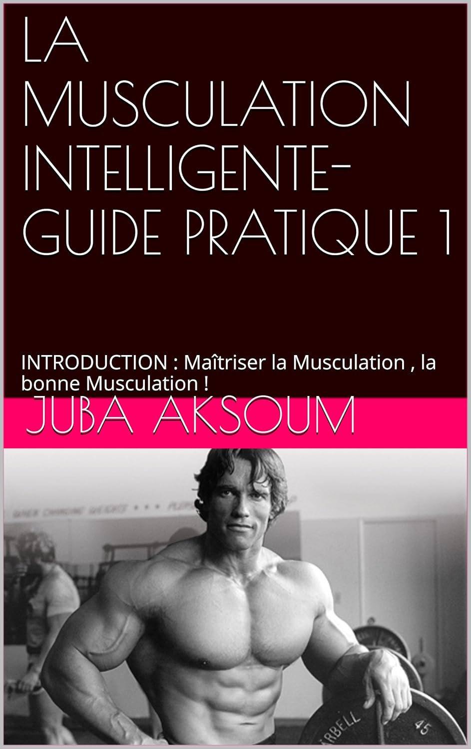 LA MUSCULATION INTELLIGENTE-GUIDE PRATIQUE 1: INTRODUCTION : Maîtriser ...