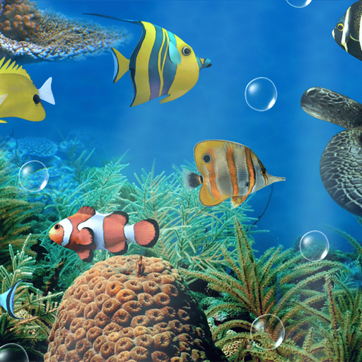 Wallpapers Aquarium Live Wallpaper Download Fish Live Wallpaper 3D