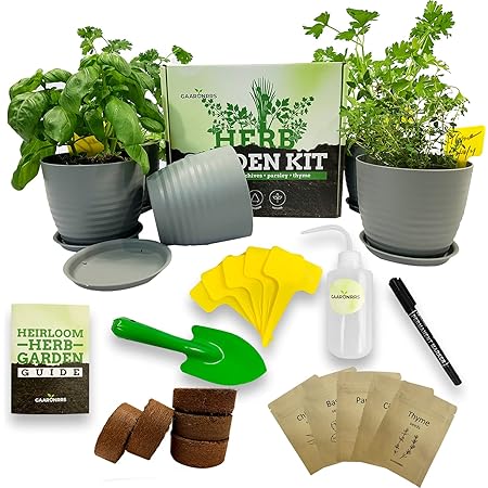 Amazon.com : Indoor Herb Garden Starter Kit - 5 Herb Plant Grow Kit w ...