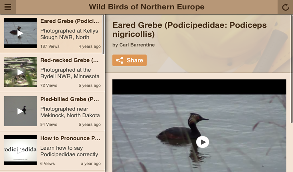What Are The Native Birds Of Europe