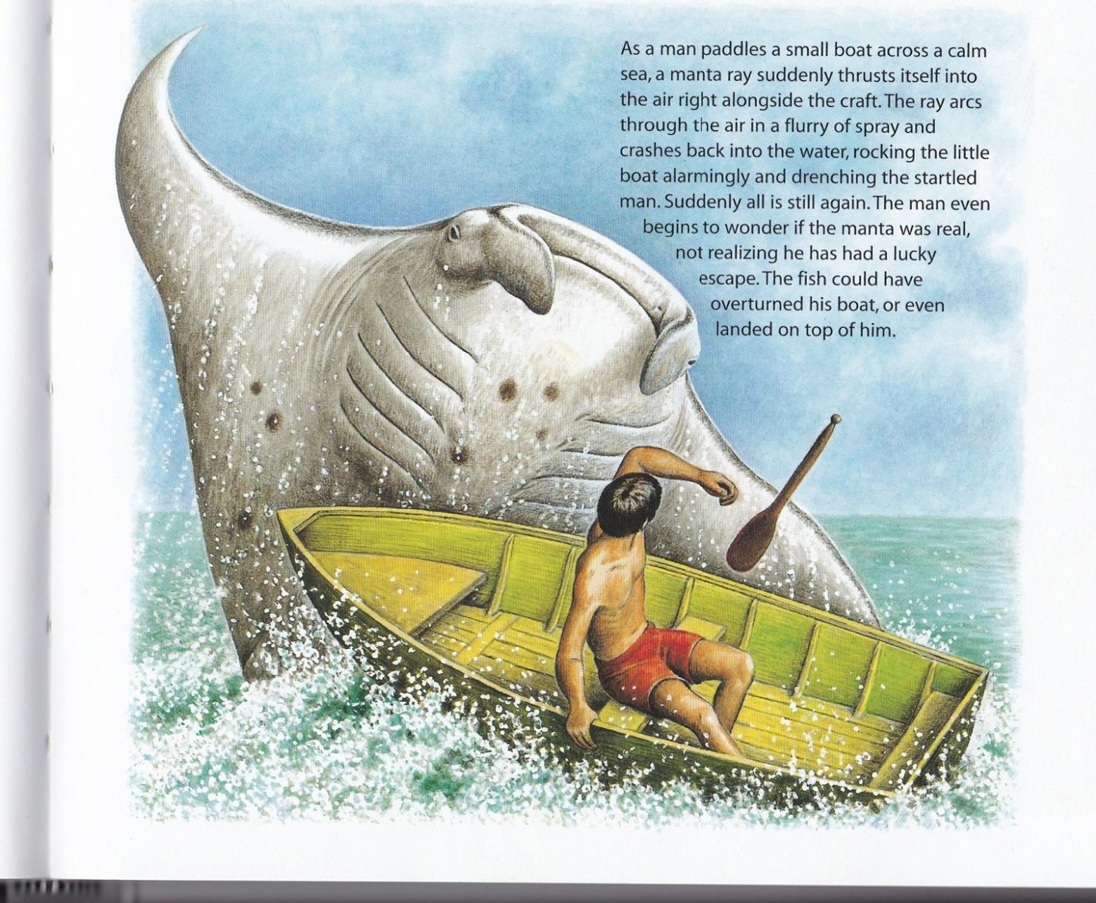 Sharks and Other Creatures of the Deep: Susan Barraclough ...