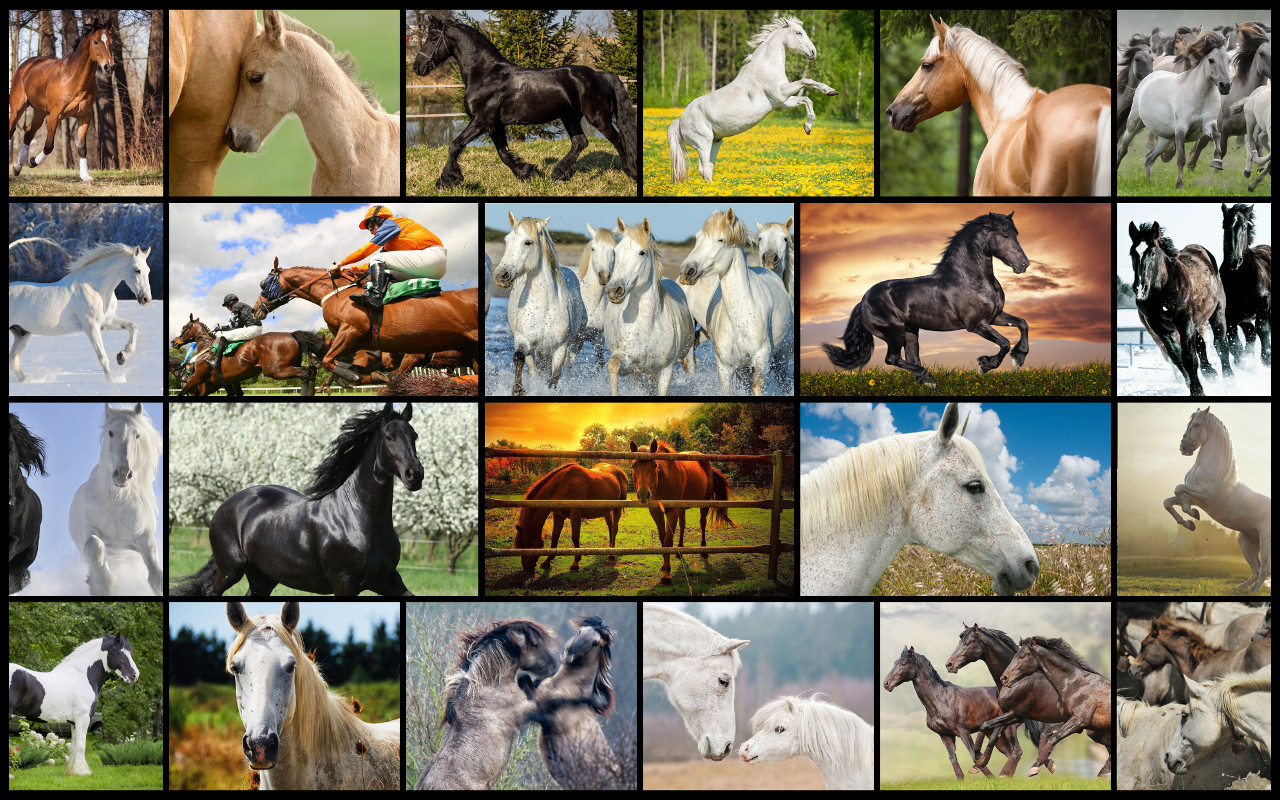 Mighty Horses - Real Horse Picture Puzzle Games for kids - App on ...