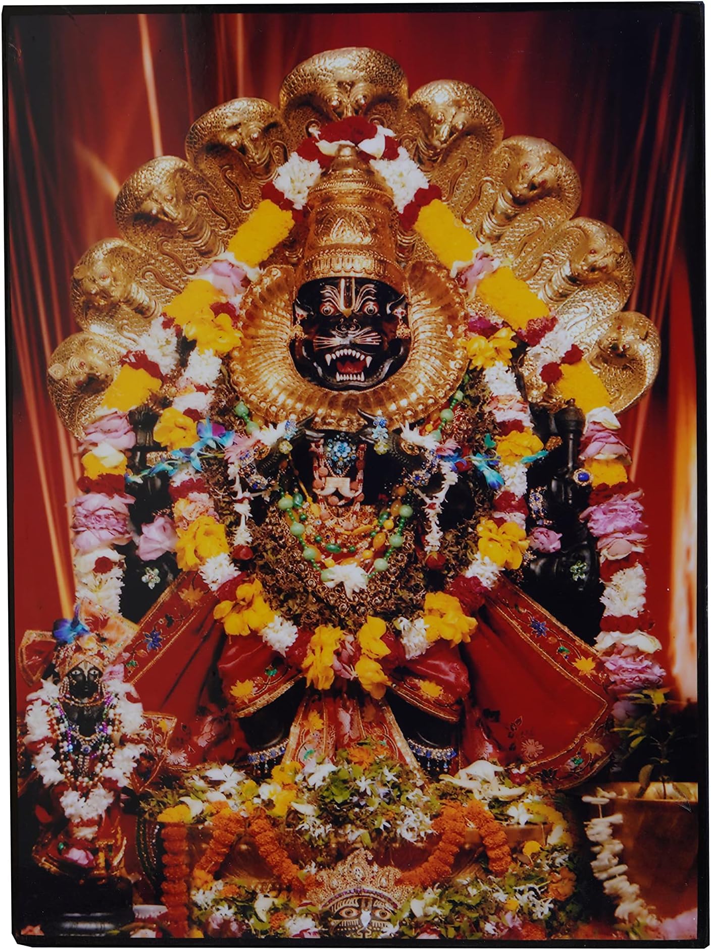 Templeshop Mayapur Iskcon Narashimha Dev photo frame lamination photo ...