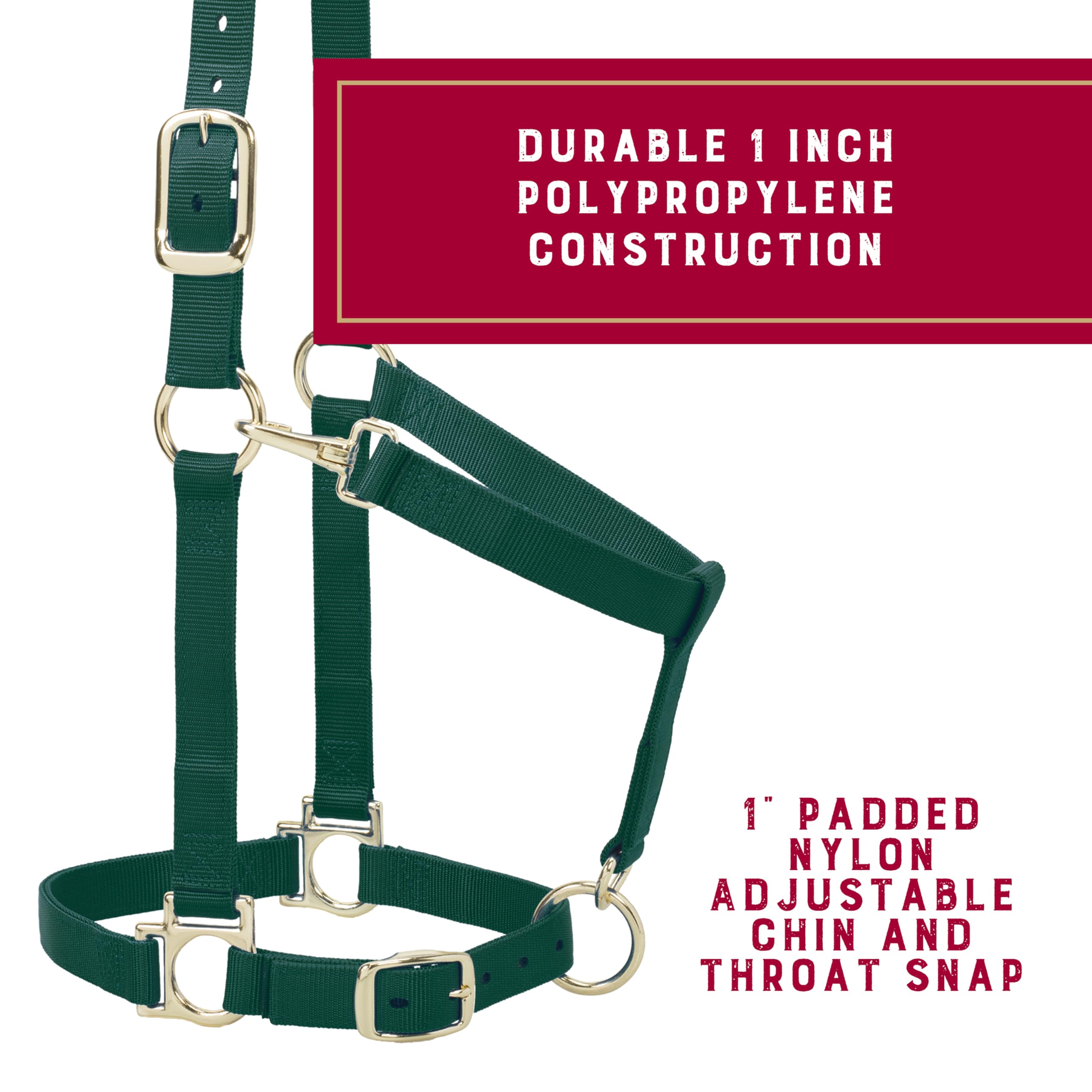 Snapklik.com : Weaver Leather Nylon Horse Halter, Padded And Adjustable ...