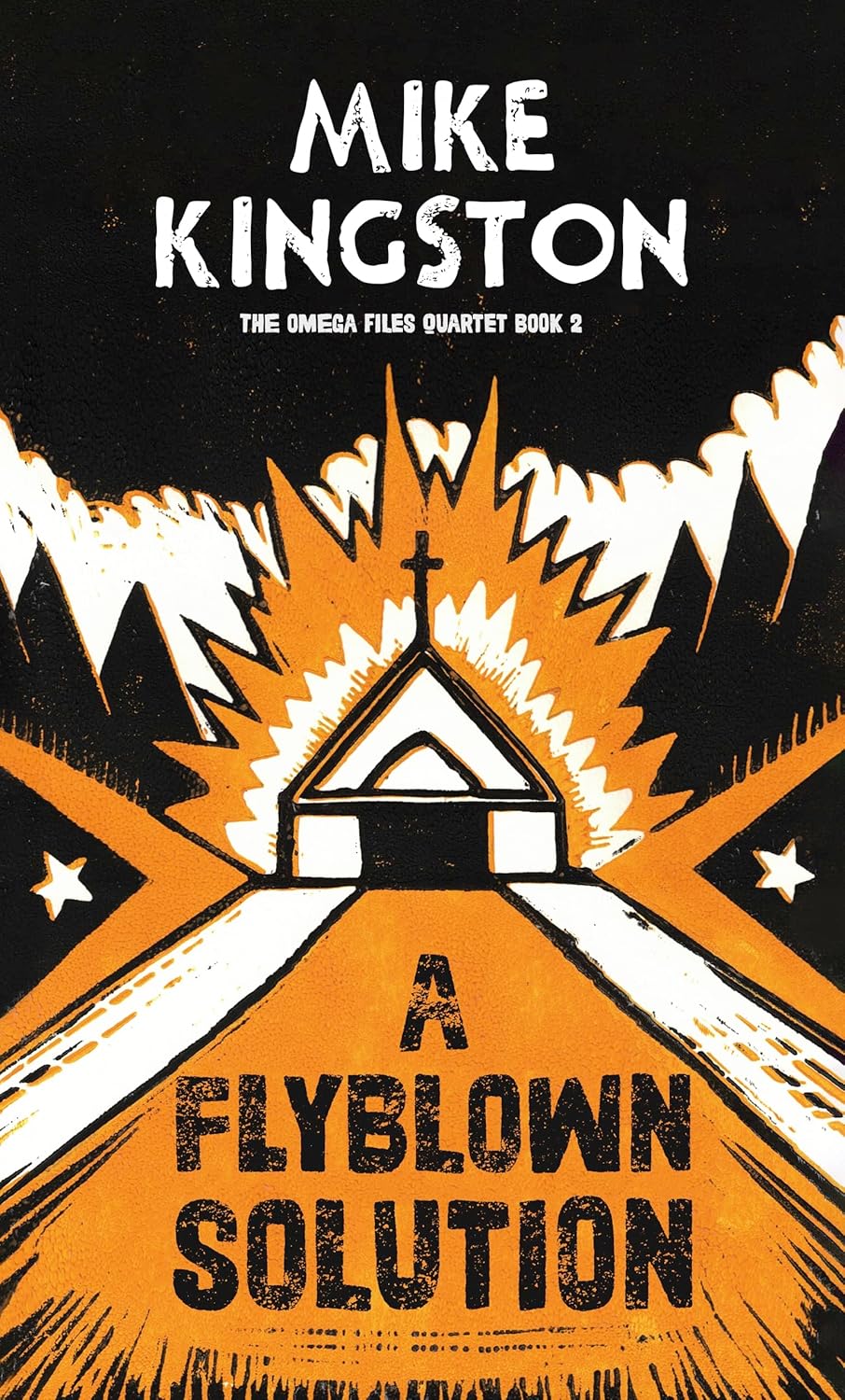 A Flyblown Solution (The Omega Files Quartet Book 2) eBook : Kingston ...