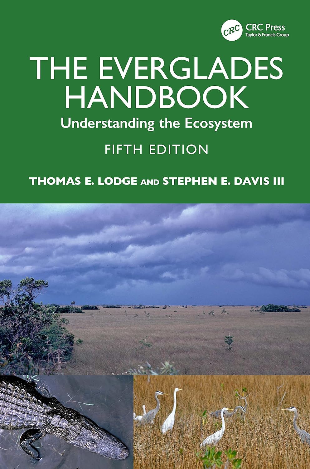 The Everglades Handbook: Understanding the Ecosystem: Lodge, Thomas E ...