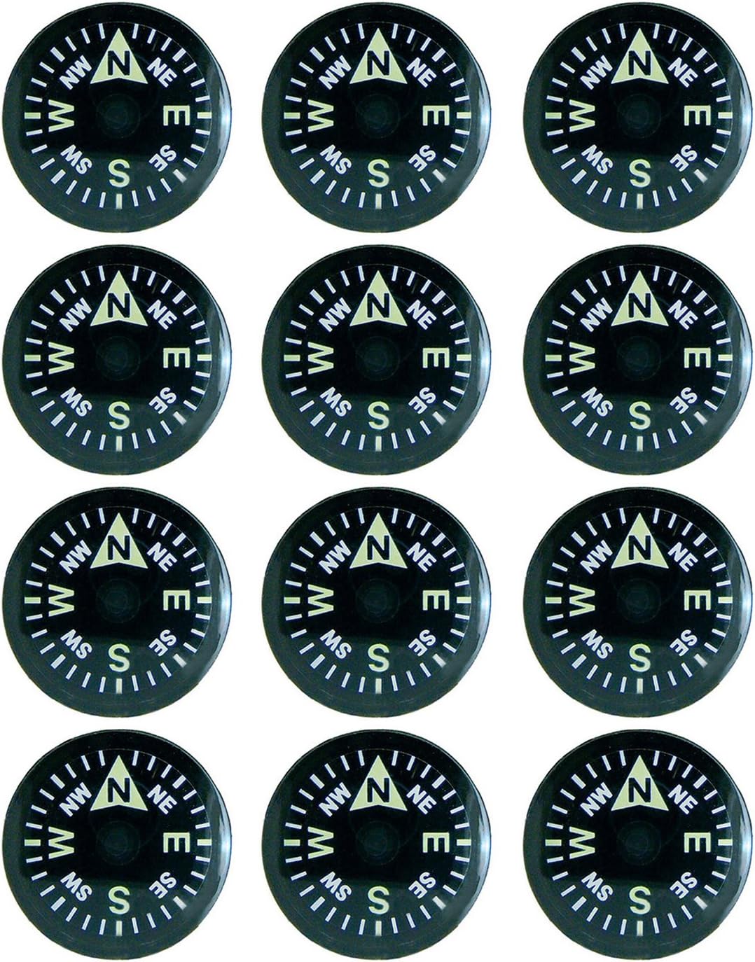 Amazon.com : Sun Company Compass Capsules - Pack of 12 Compasses ...