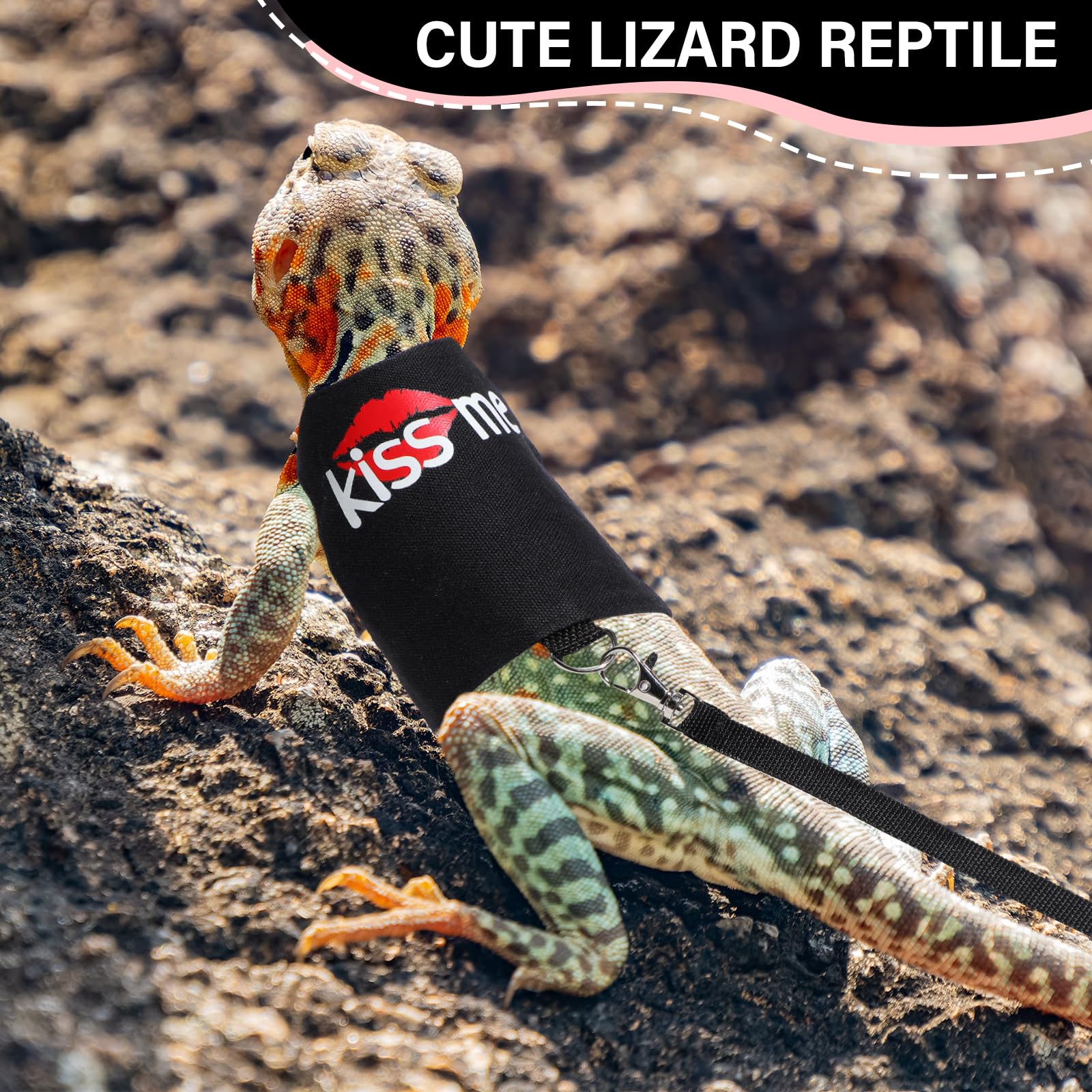 Snapklik.com : Wesnoy Bearded Dragon Harness And Leash Luminous Set ...