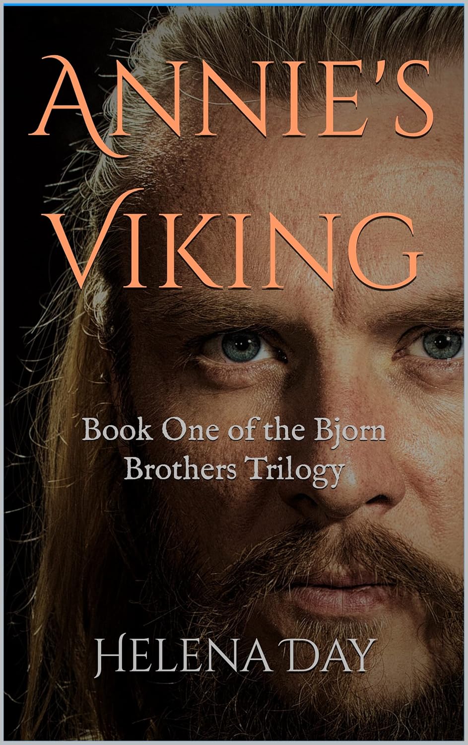 Annie's Viking: Book One of the Bjorn Brothers Trilogy eBook : Day ...