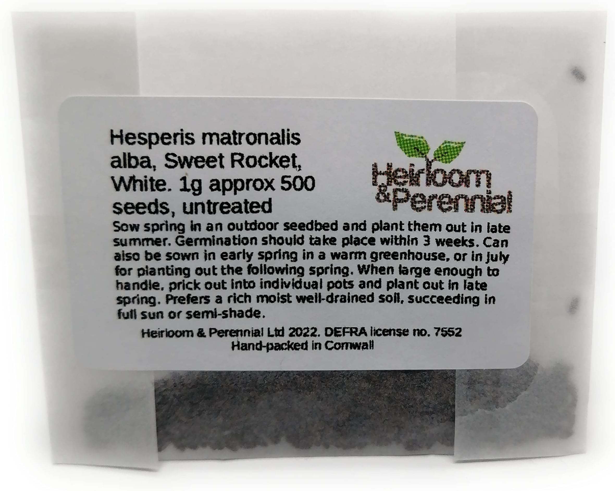 Hesperis matronalis 'Purpurea' / Sweet Rocket / 1g Seeds : Amazon.co.uk ...