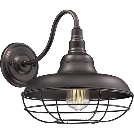 Amazon.com: FEMILA Indoor Outdoor Wall Sconces, Gooseneck Barn Light ...