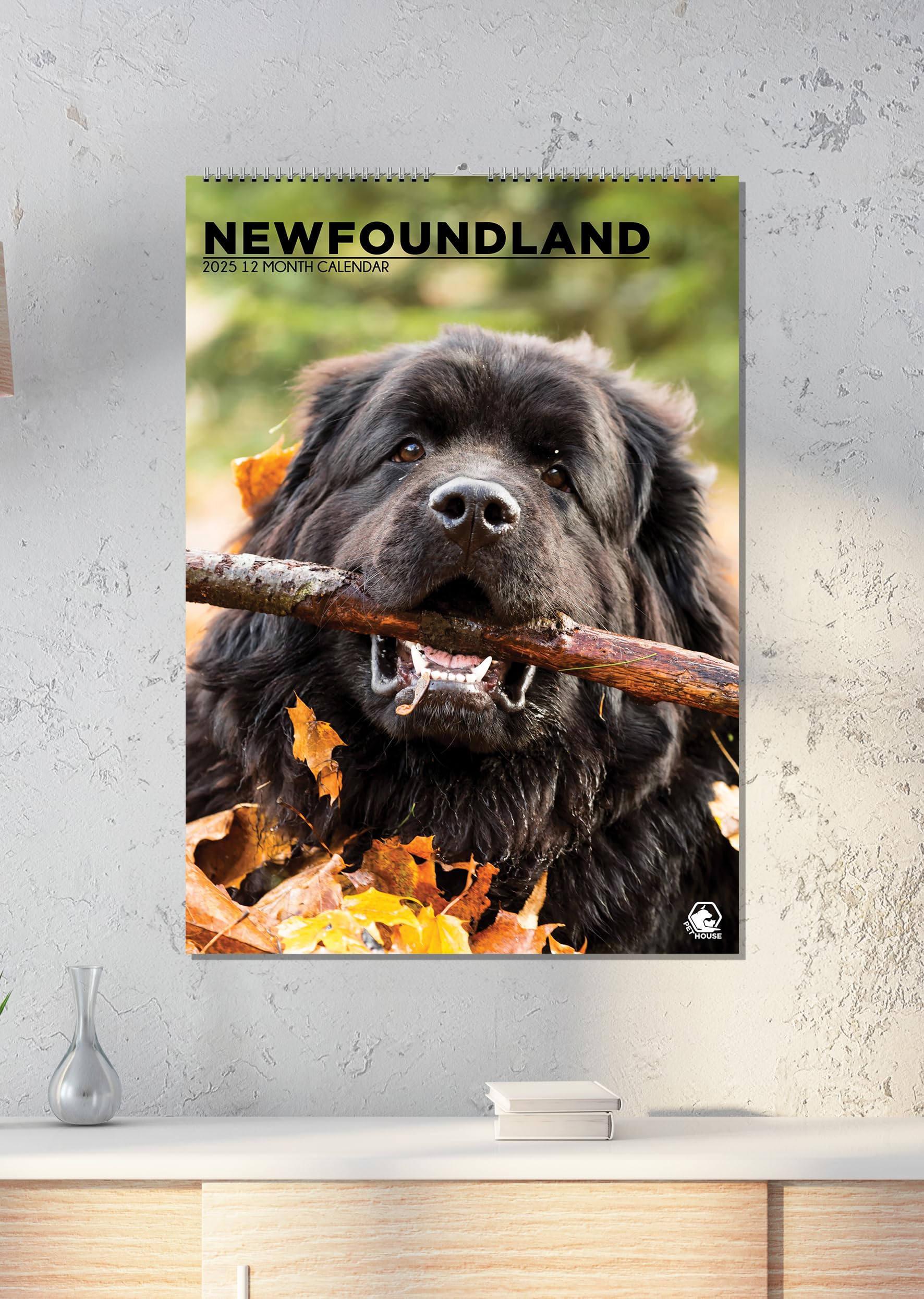 Newfoundland 2025 – A3 Size Wirobound Calendar – BigaMart
