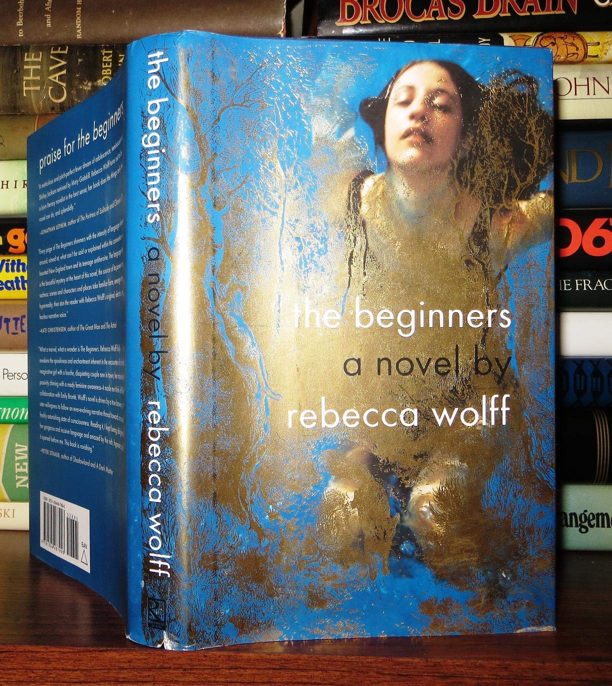 The Beginners: Wolff, Rebecca: 9781594487996: Amazon.com: Books
