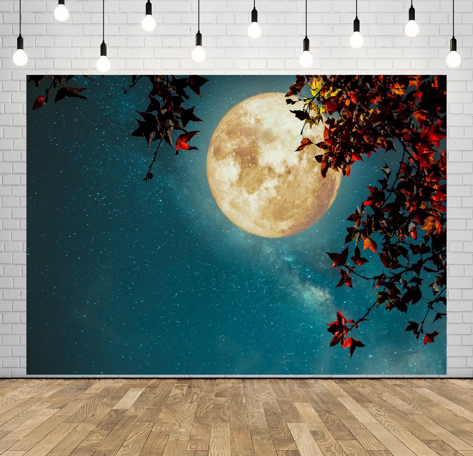 Vintage Night Sky Backdrop