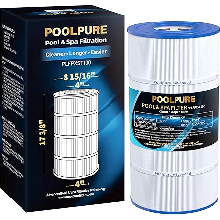 Amazon.com : Waterway 100 SF Cartridge Pool Filter System - PCCF100 ...