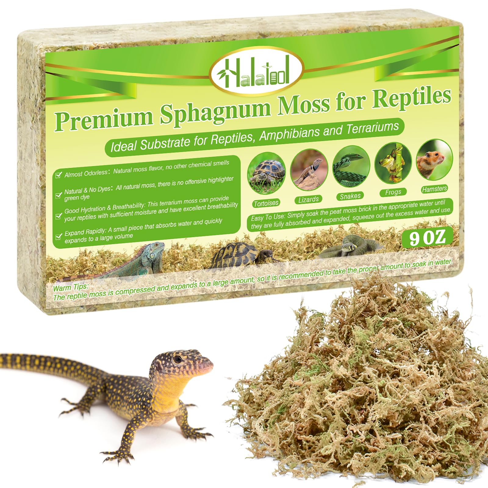 Snapklik.com : 9OZ Natural Sphagnum Moss For Reptiles Premium Reptile ...