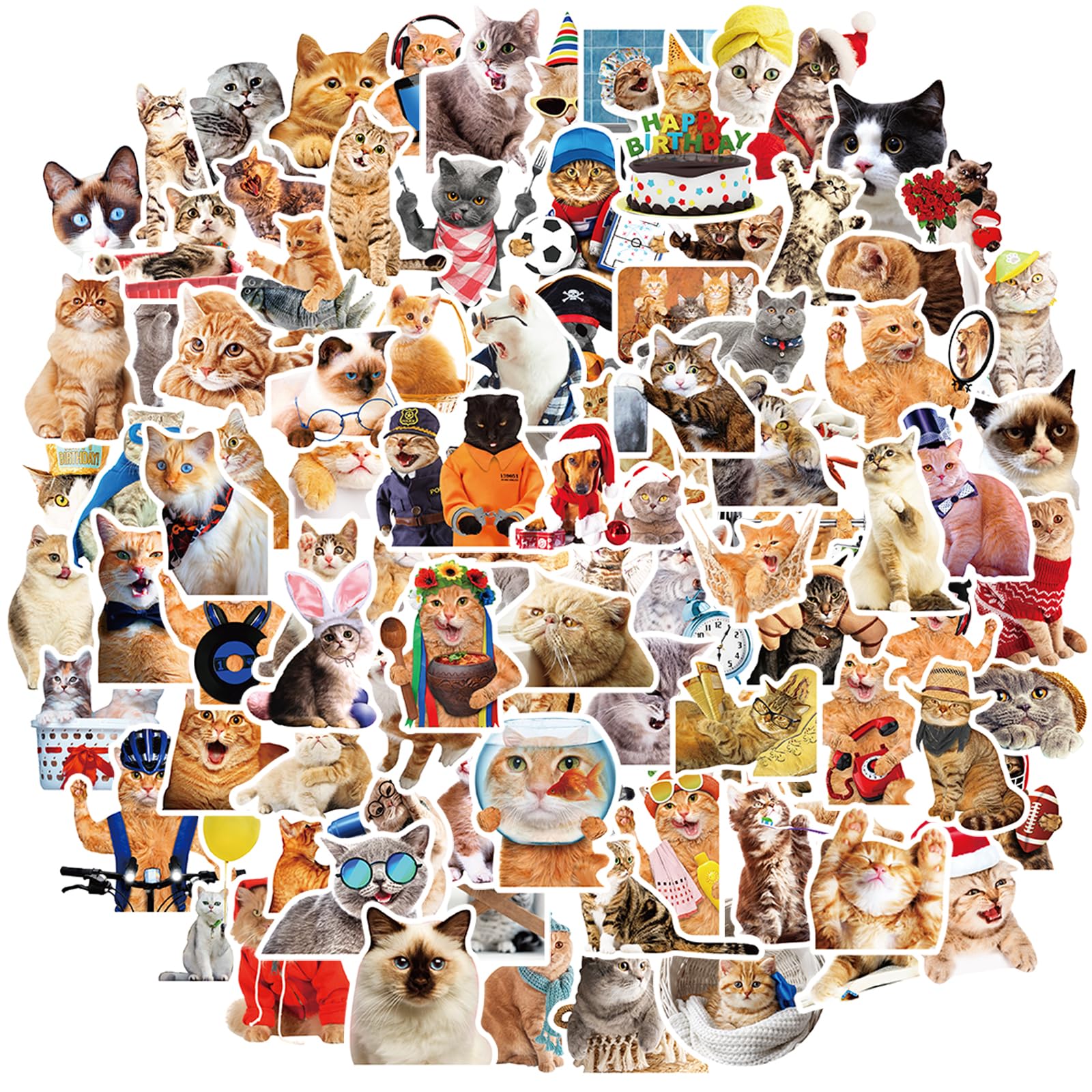 Amazon.com: Amaxiu Funny Vinyl Cat Stickers, 100 Pcs Cute Cat Decals ...