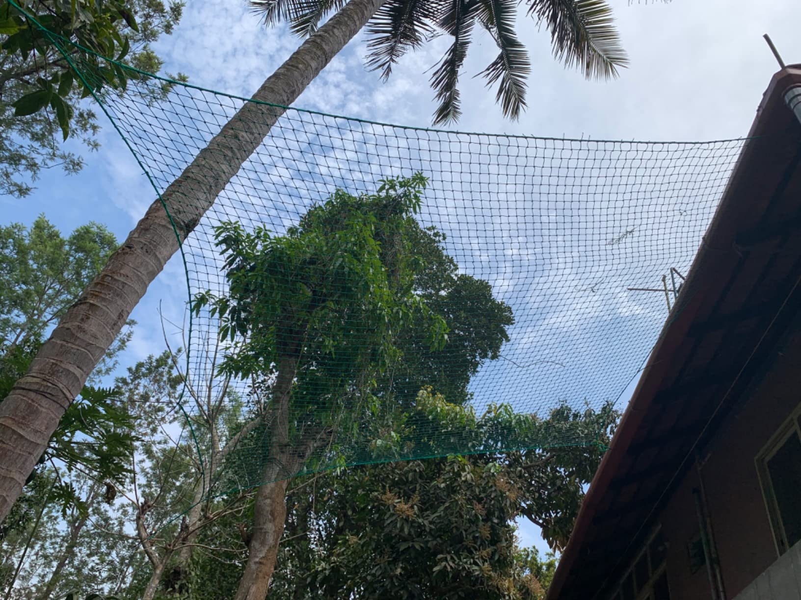 WORLD NET ENTERPRISE Coconut Safety net Green Colour 11feet*11feet (121 ...