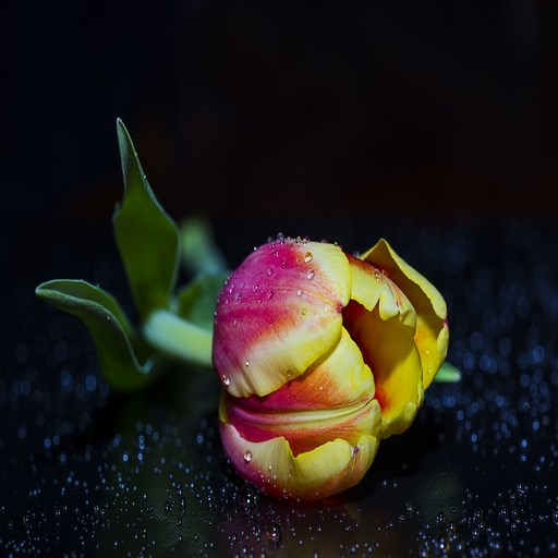 Ledron - Aplicativo na Amazon Appstore