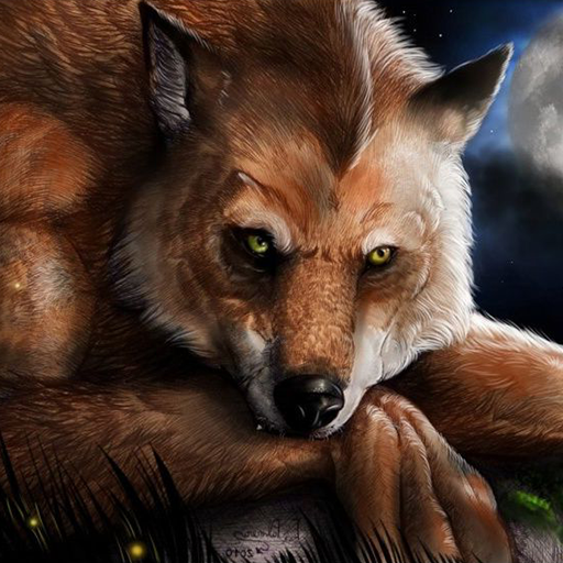 Wild Fox Simulator 3D:www.amazon.com:Appstore for Android