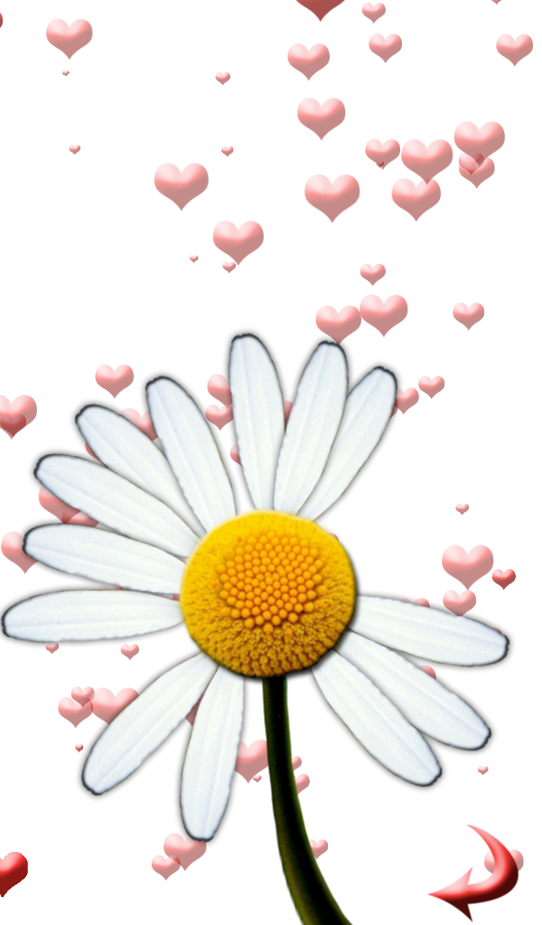 Daisy Game - App on Amazon Appstore