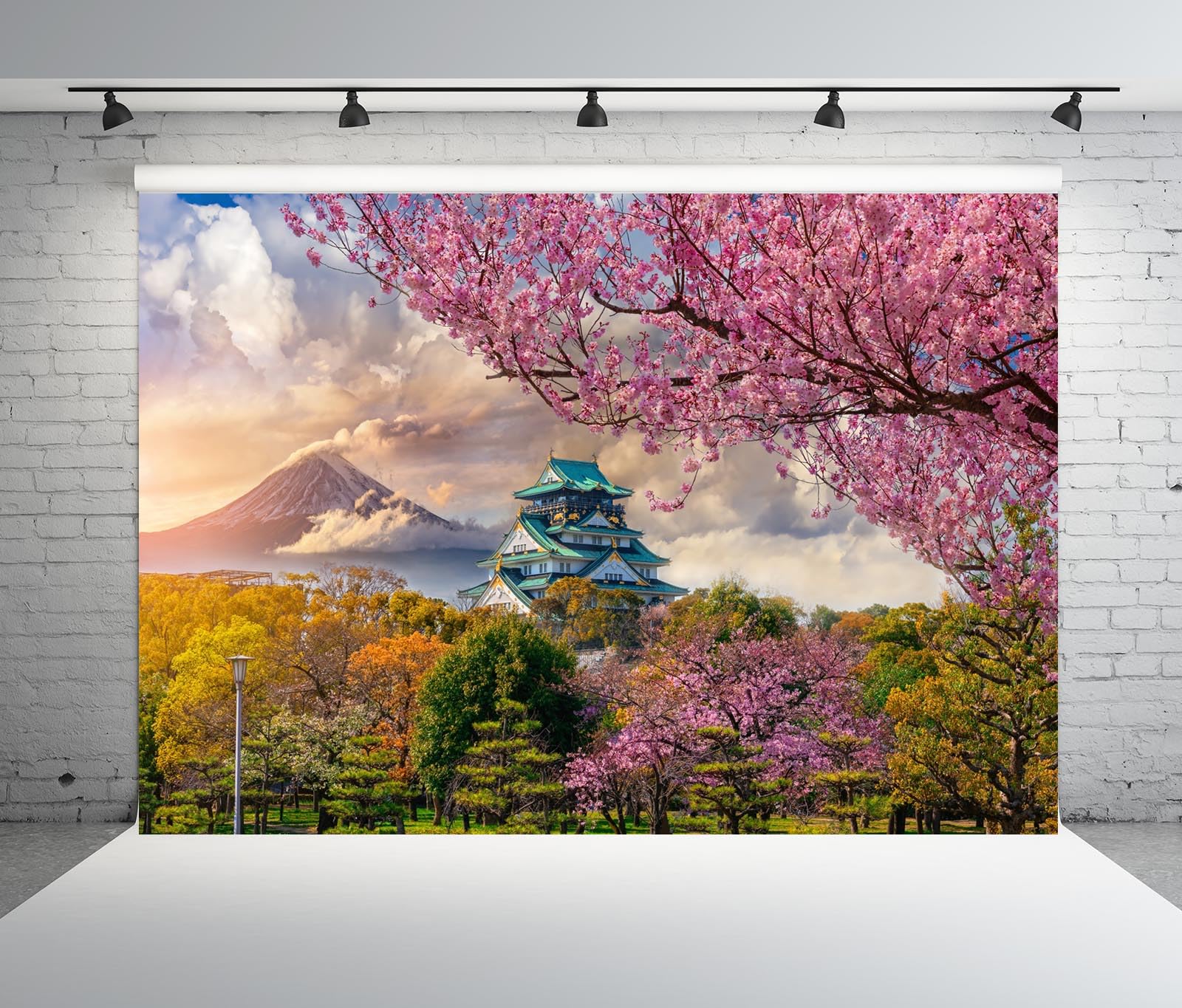 Japan Scenery 4 By
