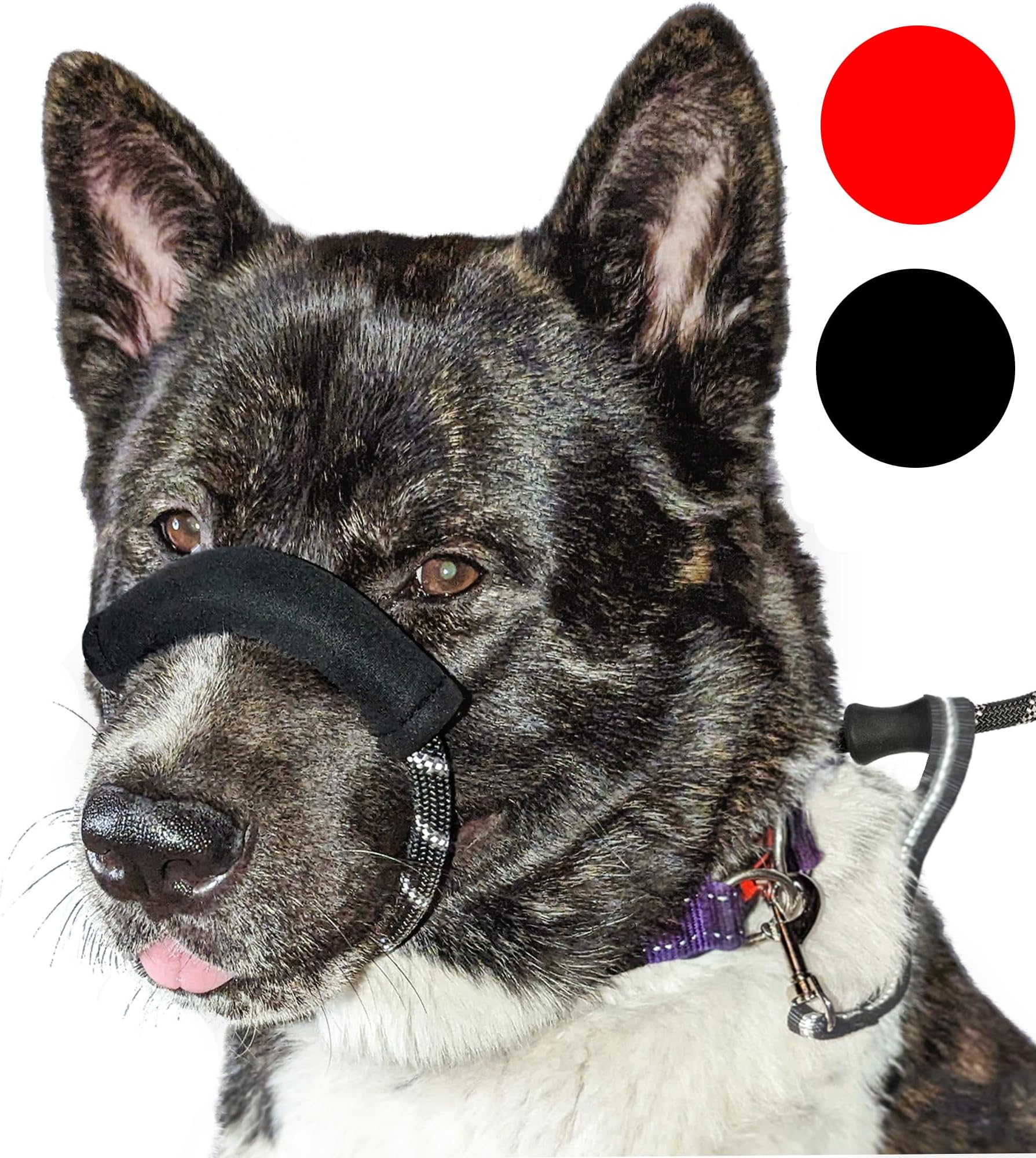 Total Pet Figure of 8 Dog Lead - Anti Pull Stop Dogs Pulling - Rope ...