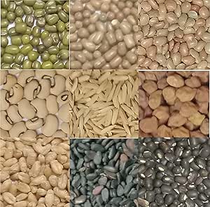 BNs Navadhanyam Set | Navadhanya for Navagraha Puja | A Grade Quality 9 ...