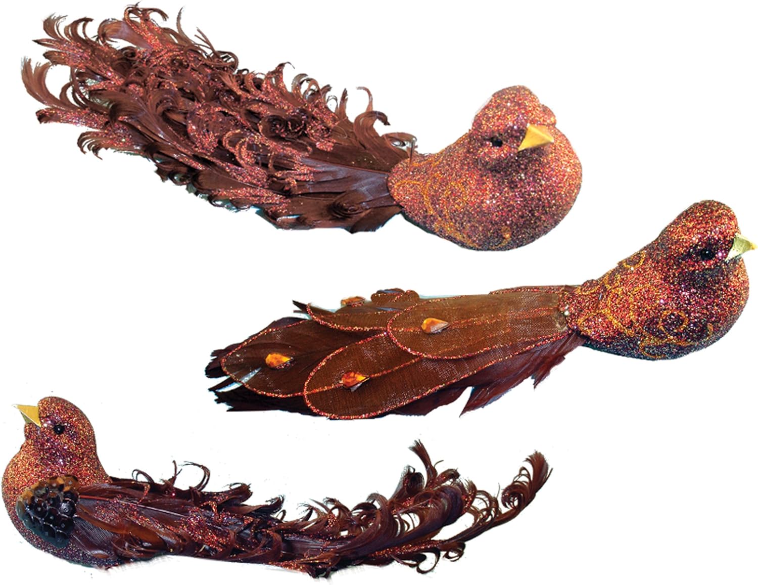 Amazon.com: Touch of Nature 20351 Fancy Tail Fashion Glitter Bird, 8 to ...