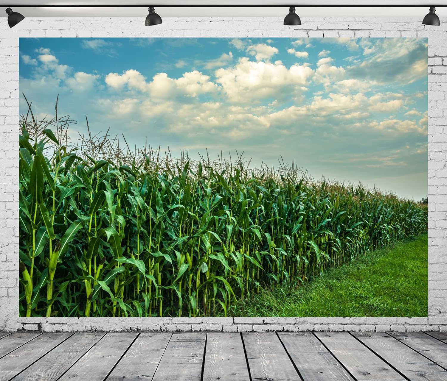 Amazon.com : CORFOTO 5x3ft Fabric Green Cornfield Backdrop for ...