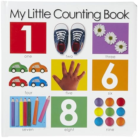 Amazon.com: My Little Counting Book (My Little Books): 9780312494353 ...