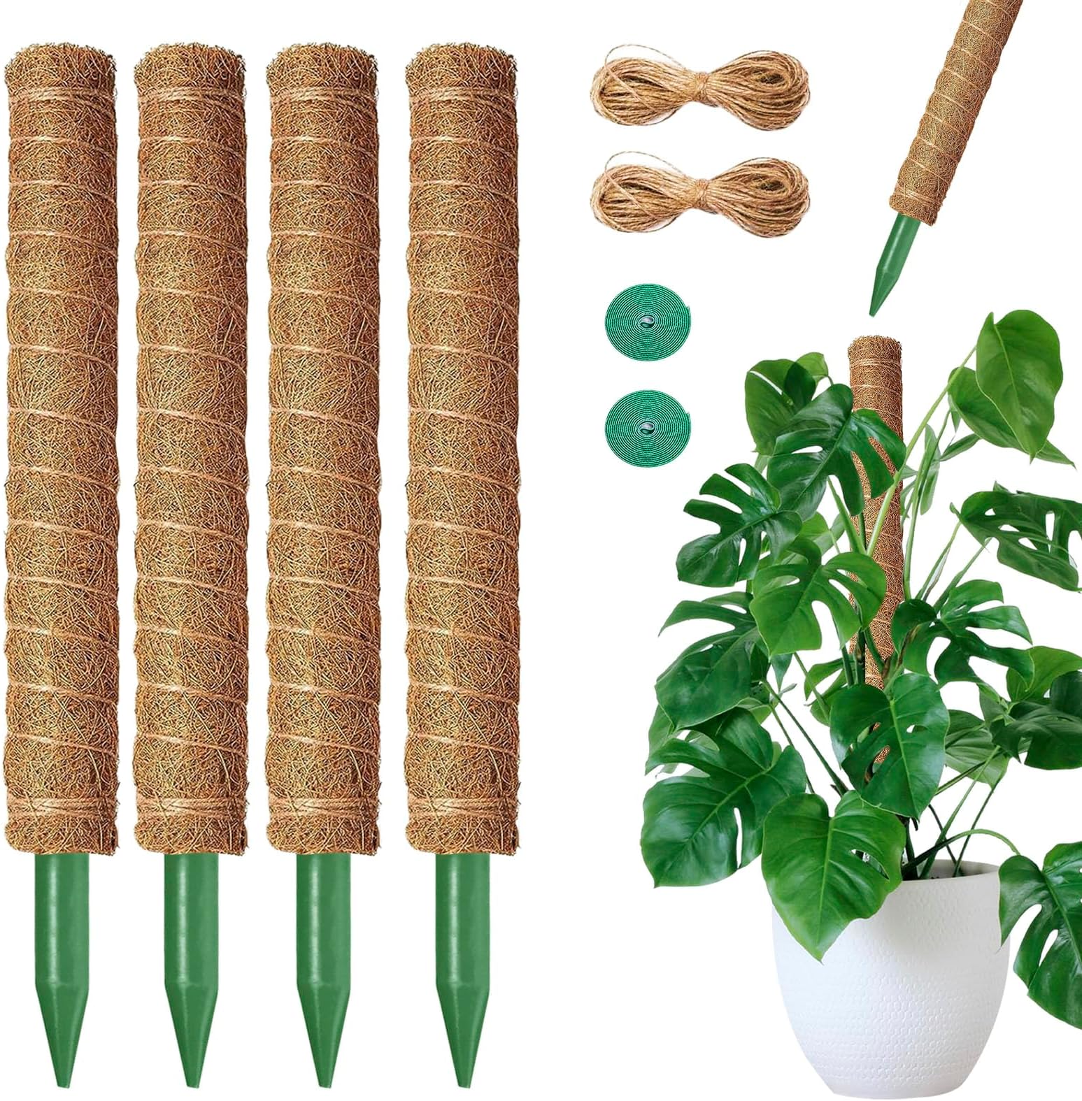 Amazon.com : YAUNGEL Moss Pole, 64 Inches Moss Pole Monstera Plant ...
