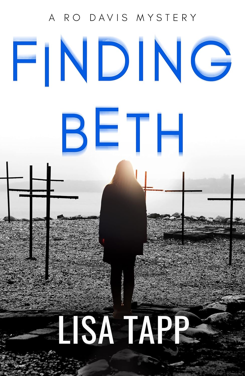 Amazon.com: Finding Beth: A Ro Davis Mystery, Book 1 eBook : Tapp, Lisa ...